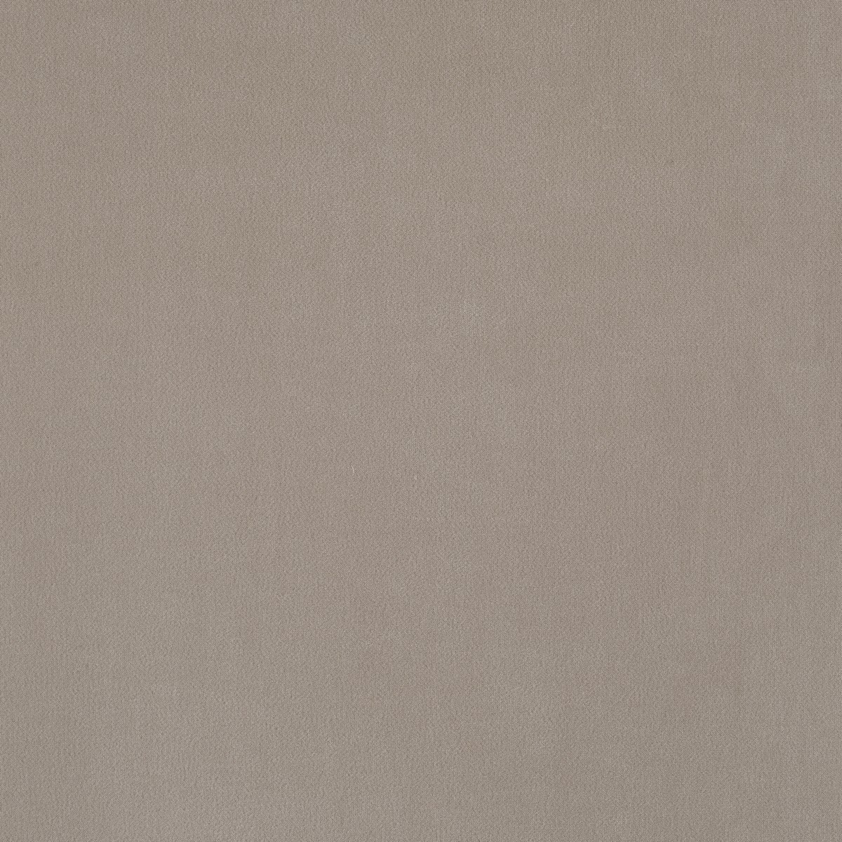 Plush Velvet Taupe by Warwick - Made to Measure Curtains - Britannia Rose