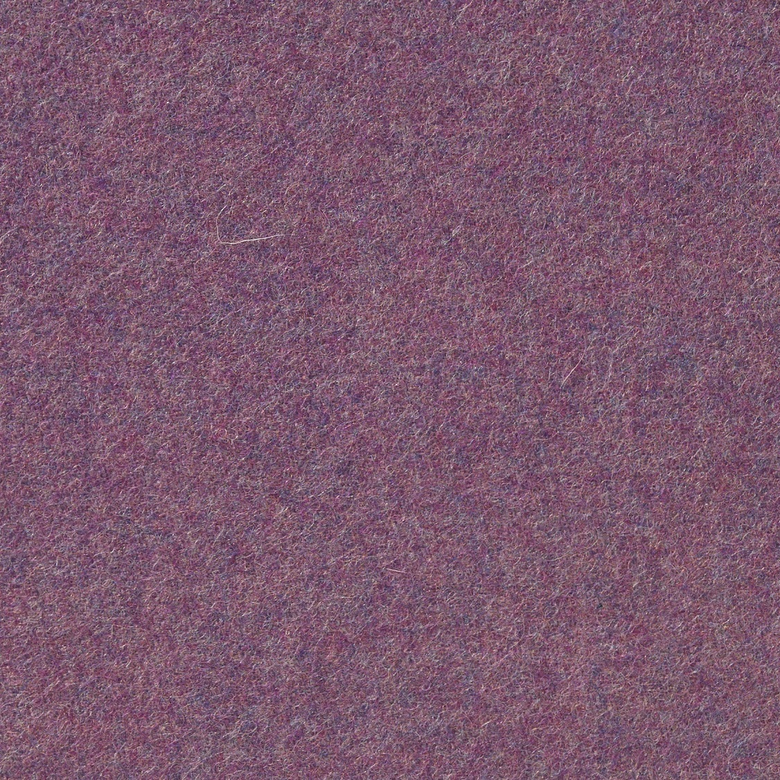 Earth Heather Fabric by Abraham Moon - Britannia Rose