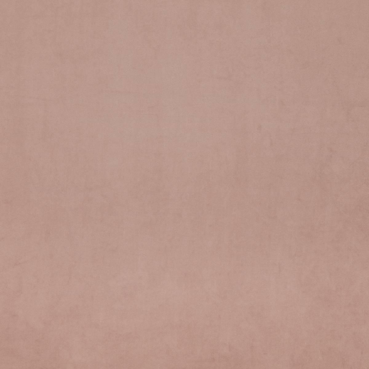 Mylo Allium Fabric by iLiv - Britannia Rose