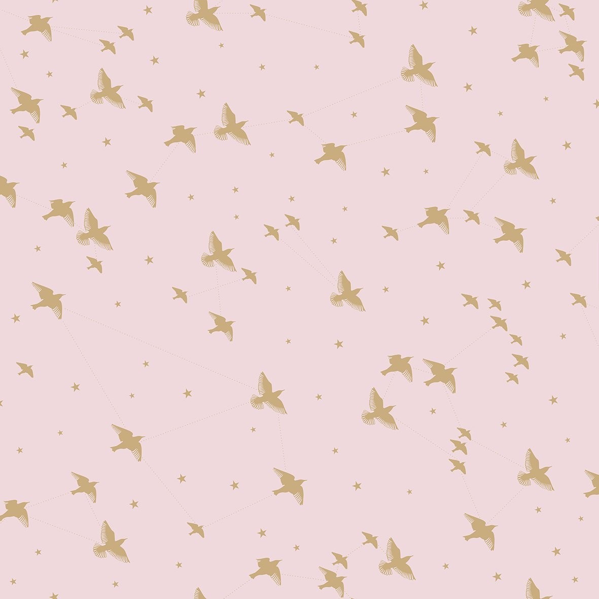 Star-ling Rose by Mini Moderns - Wallpaper - AZDPT029RM - Britannia Rose