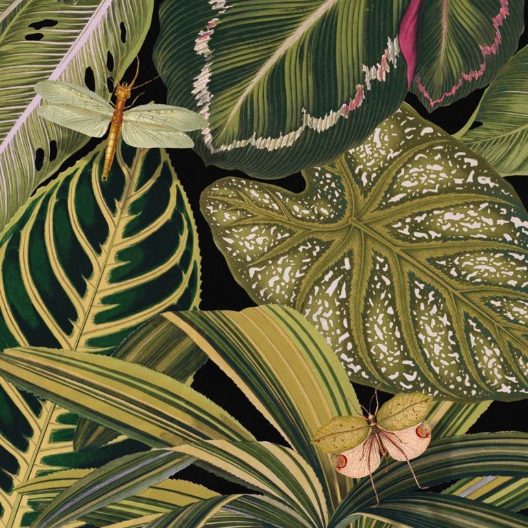 Amazonia Mural by MINDTHEGAP - Wallpaper - WP20159 - Britannia Rose